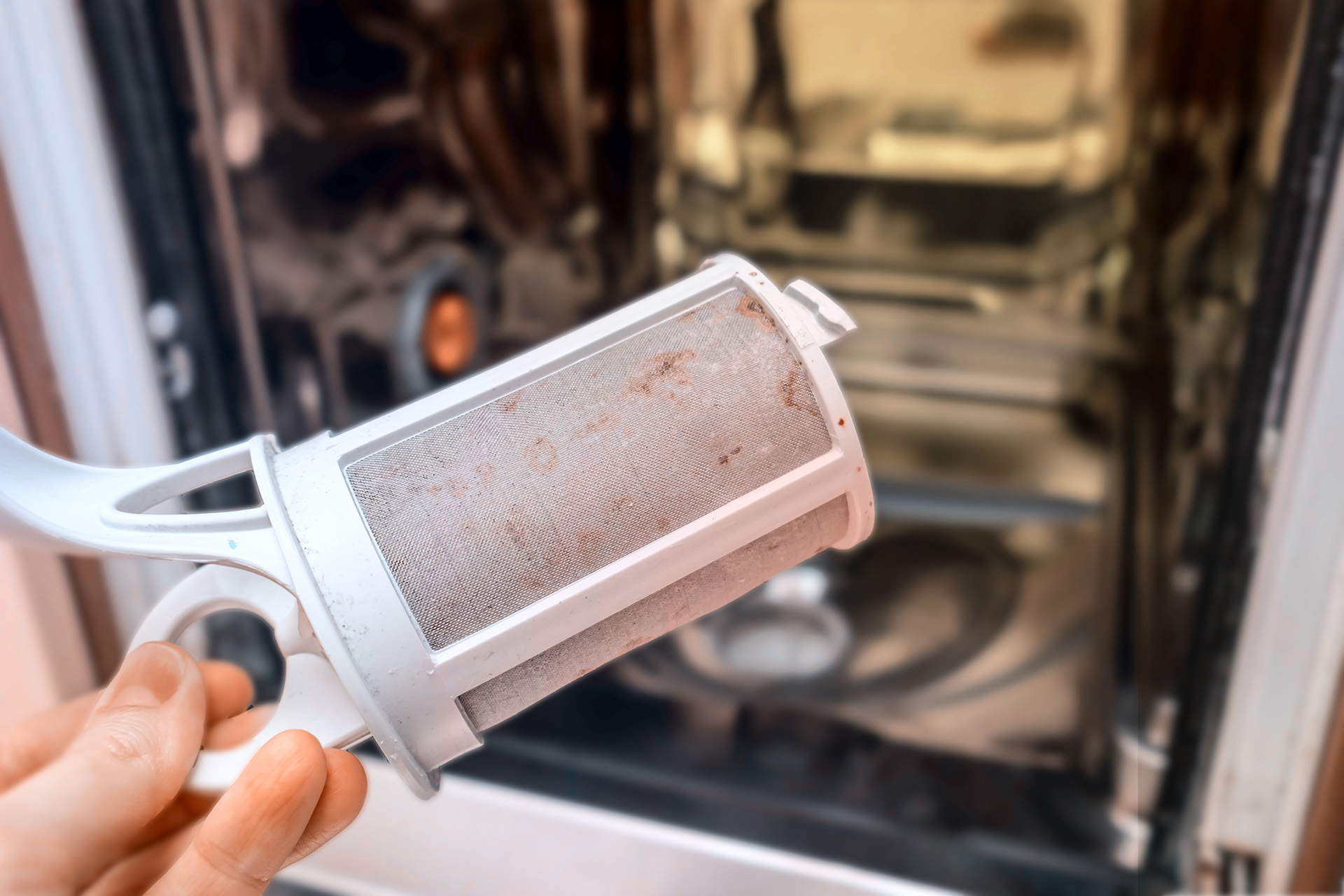 Learn How to Clean Dishwasher Filter With This Guide | Finish® SA